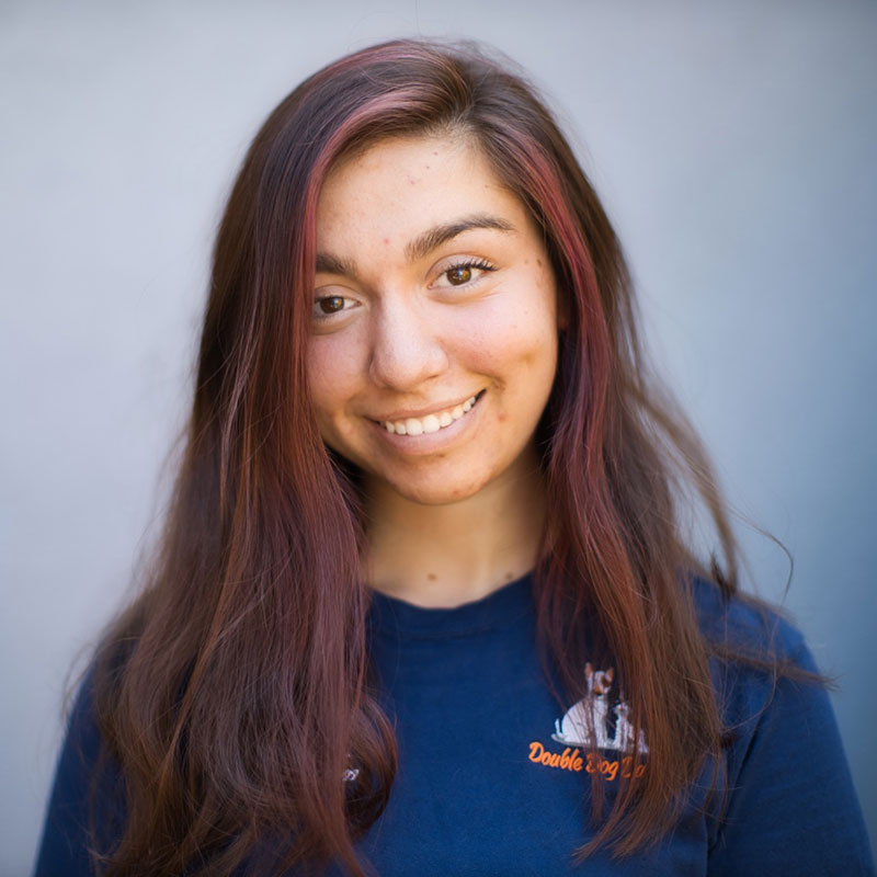 Staff | Double Dog Dare Ya